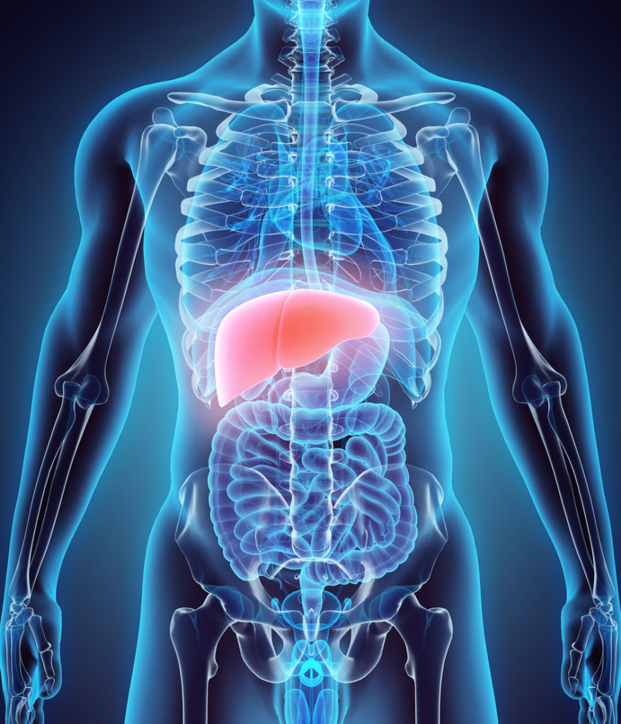 Holistic Dentist in Southlake: Your Liver & Smile Are Linked Enclave ...